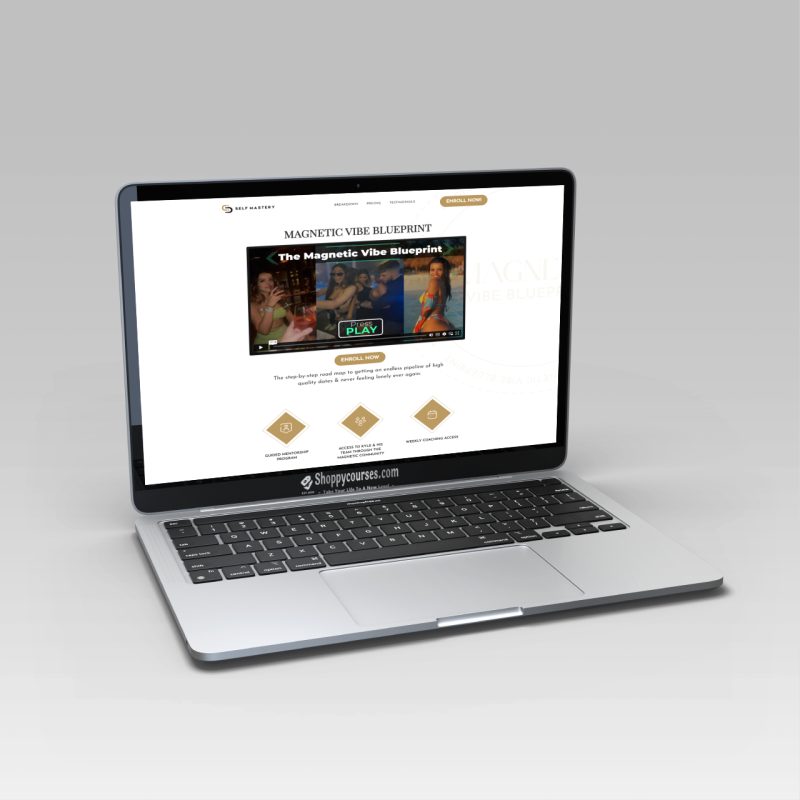 Coach Kyle - Magnetic Vibe Blueprint - ShoppyCourses | Free Download